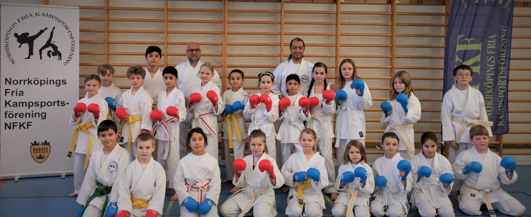 NFKF - Norrköpings Fria Kampsportsförening